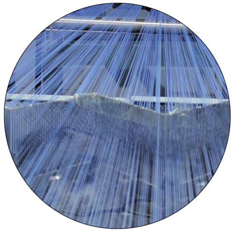 QuantumColour™ | Colourizd